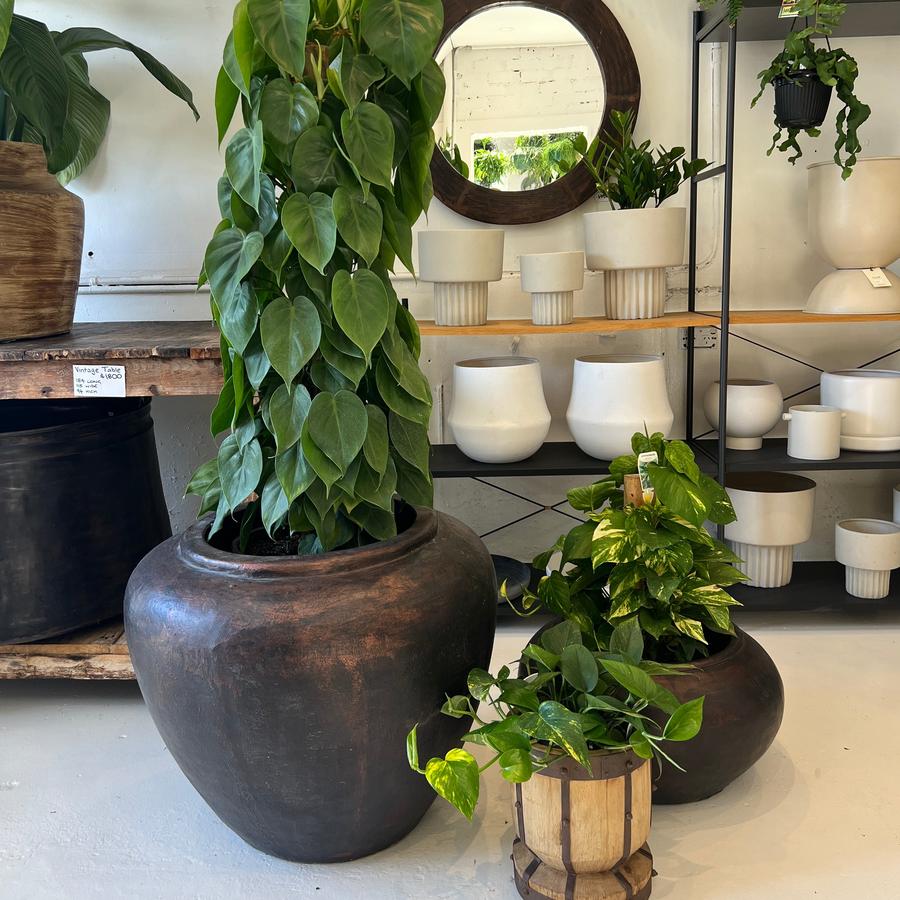 Products - The Pot Warehouse