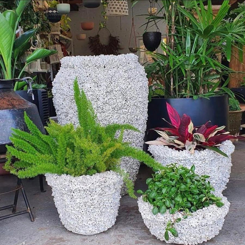 Barnacle Pots - The Pot Warehouse