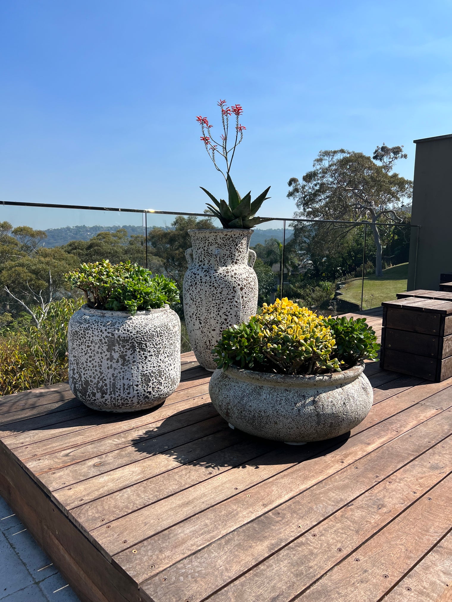 The Pot Stylist - The Pot Warehouse