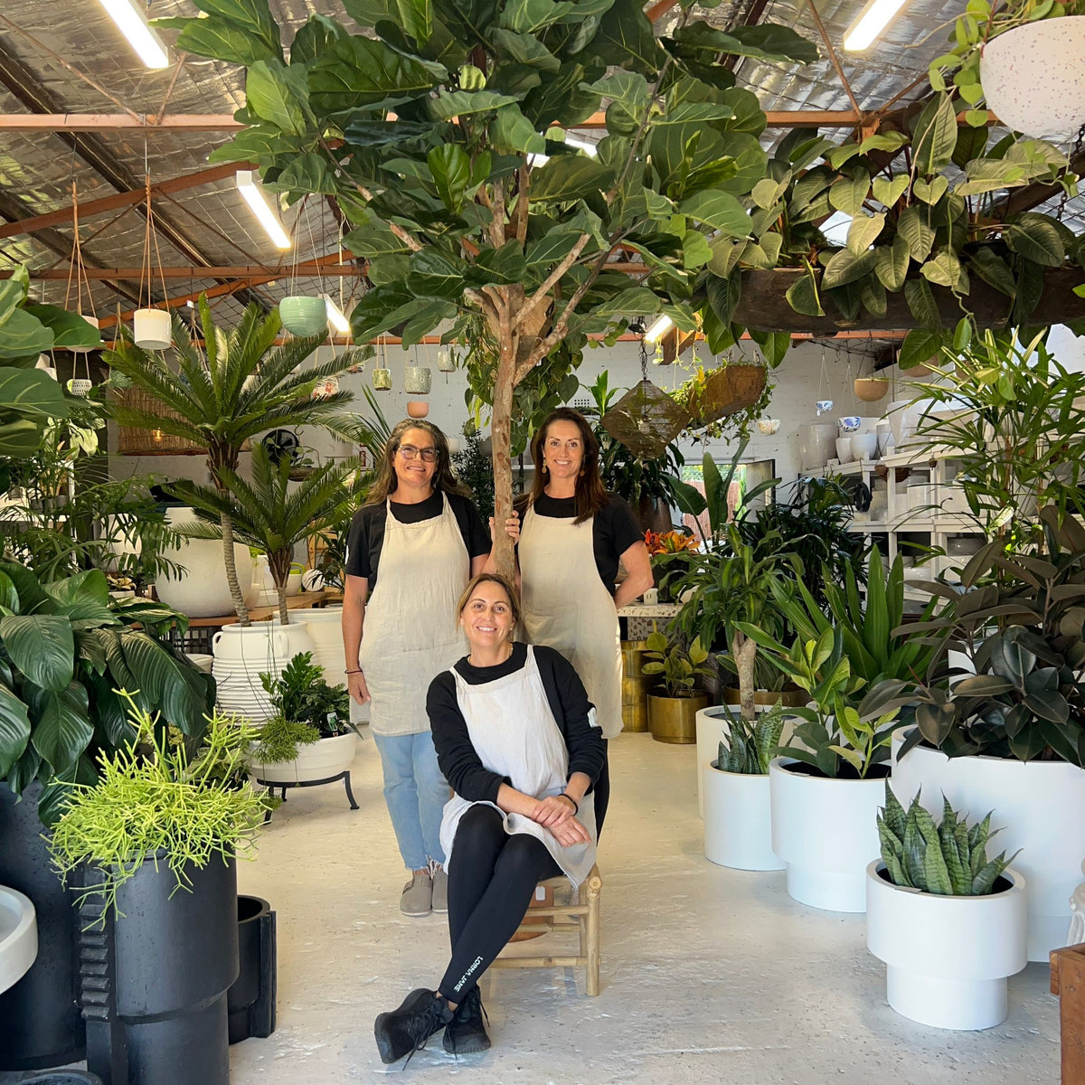 About Us - The Pot Warehouse