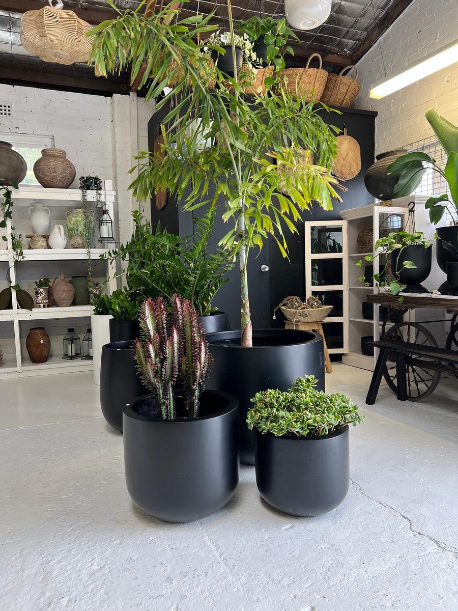 shop all - The Pot Warehouse