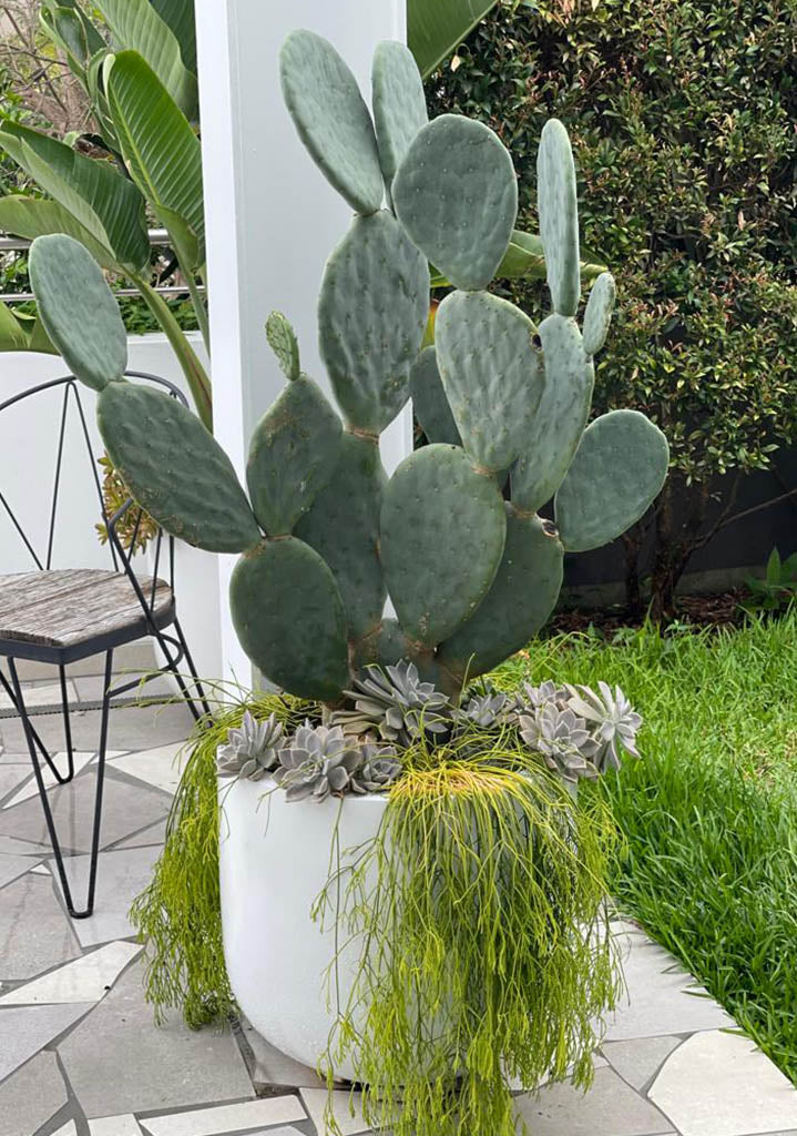 The Pot Stylist - The Pot Warehouse