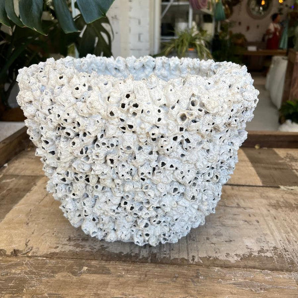 Barnacle bowl/pot - The Pot Warehouse