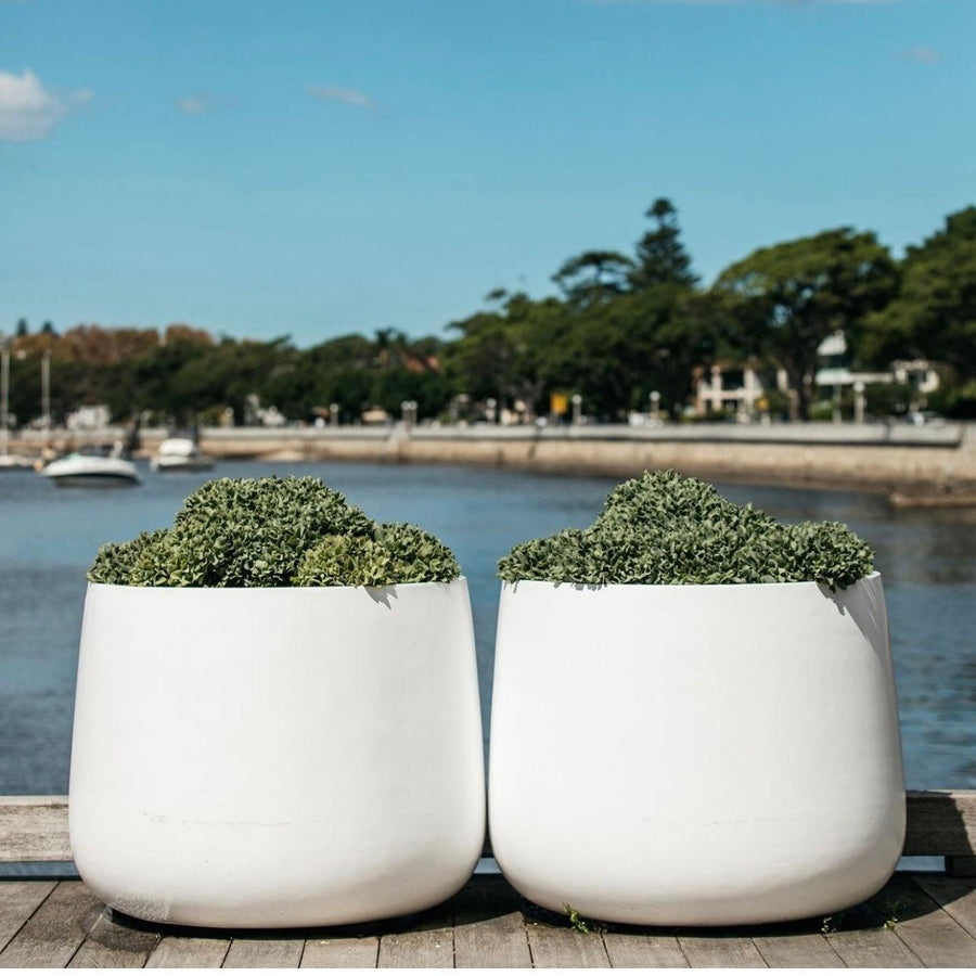 Pots - The Pot Warehouse - The Pot Warehouse