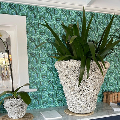 Barnacle Pots - The Pot Warehouse