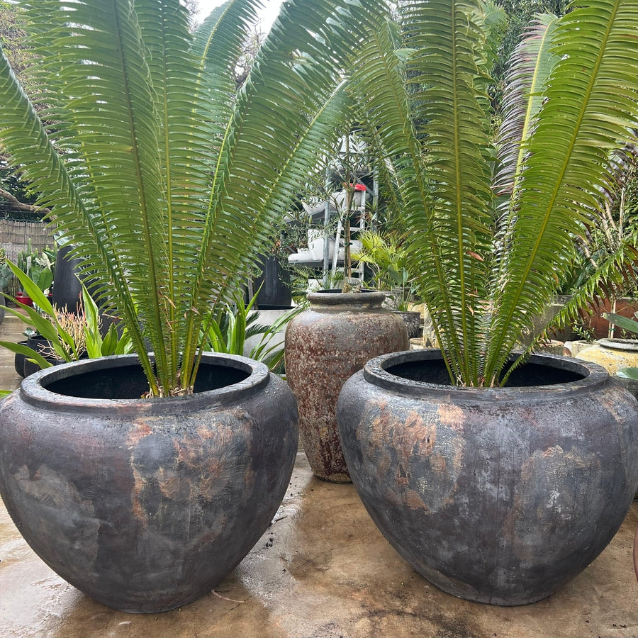 Products - The Pot Warehouse