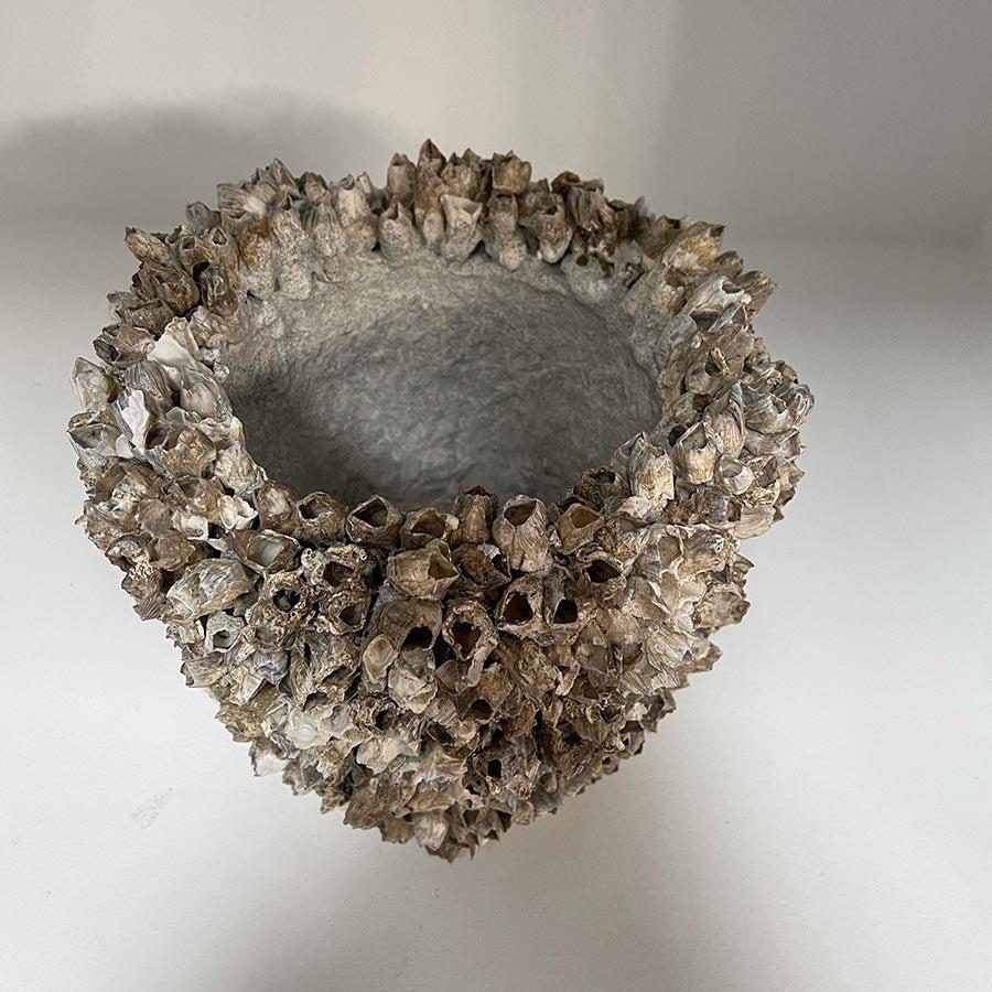 Barnacle Pots - The Pot Warehouse