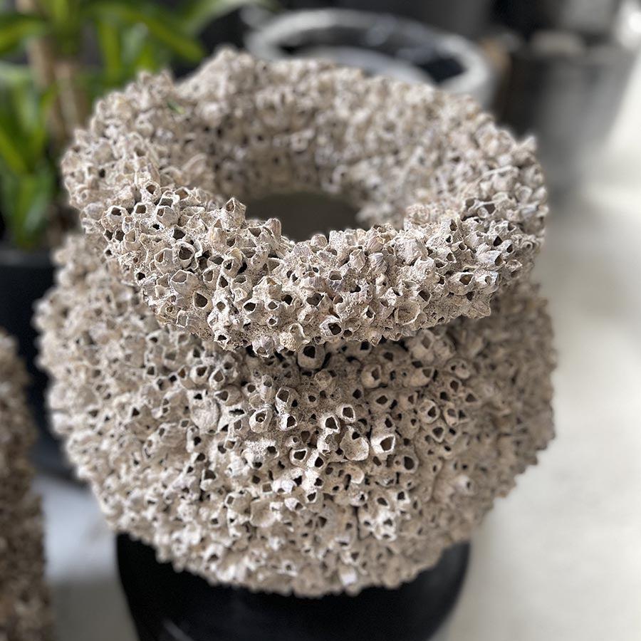 Barnacle Pots - The Pot Warehouse