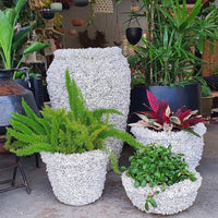 Barnacle Pots - The Pot Warehouse